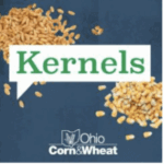 Mitigating Vomitoxin - Ohio Corn & Wheat